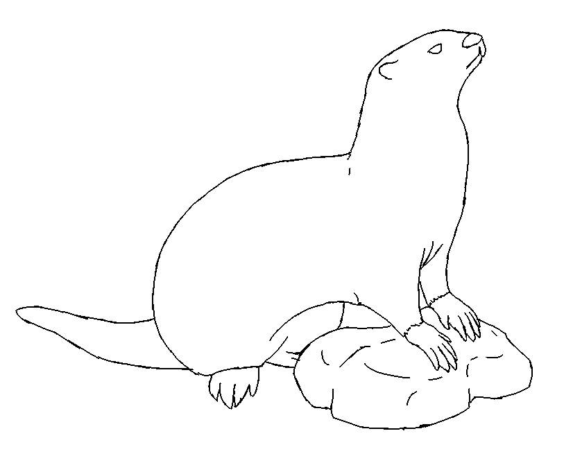 Dibujo de Nutria para colorear y pintar #6982