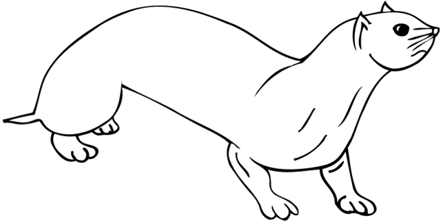Dibujo de Nutria para colorear y pintar #6983