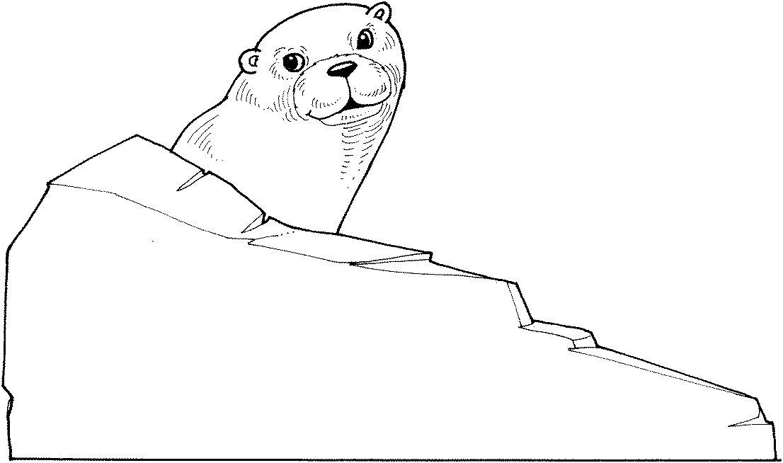 Dibujo de Nutria para colorear y pintar #6994