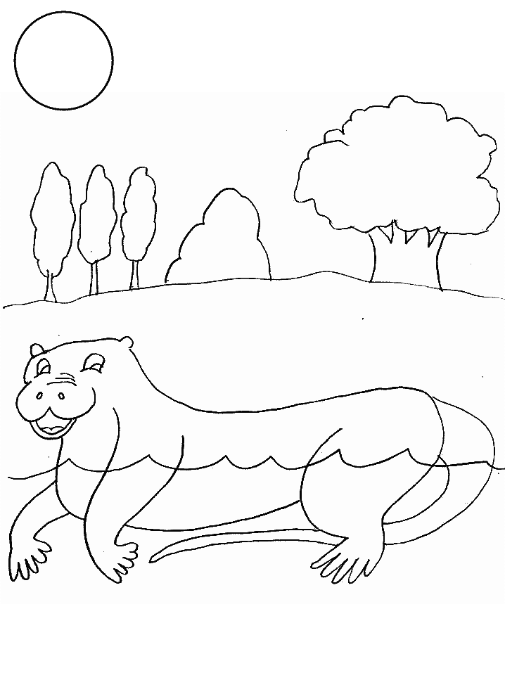 Dibujo de Nutria para colorear y pintar #6998