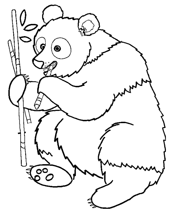 Dibujo de Panda para colorear y pintar #7507