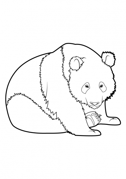 Dibujo de Panda para colorear y pintar #7511