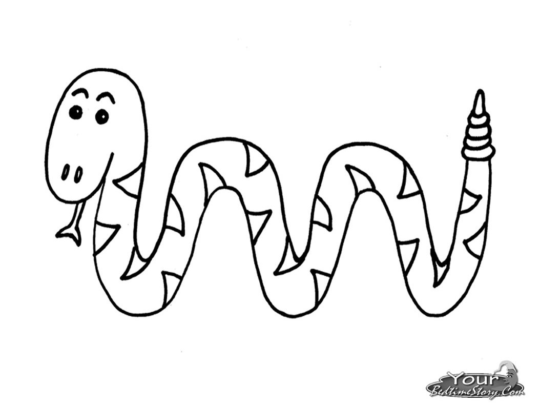 Dibujo de Serpiente para colorear y pintar #9200
