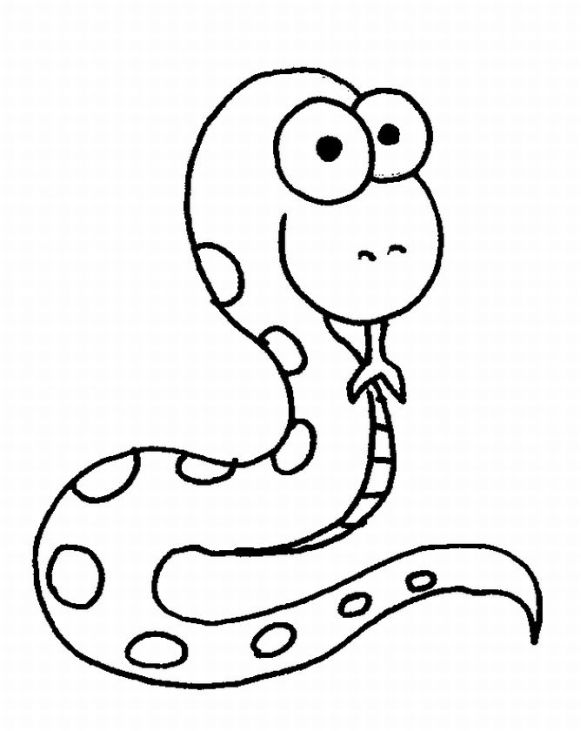 Dibujo de Serpiente para colorear y pintar #9220