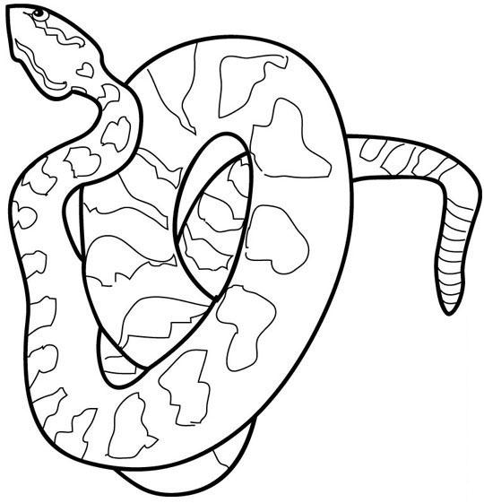 Dibujo de Serpiente para colorear y pintar #9244