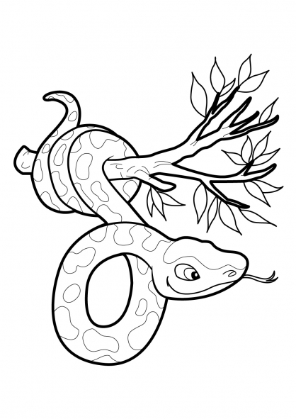 Dibujo de Serpiente para colorear y pintar #9250