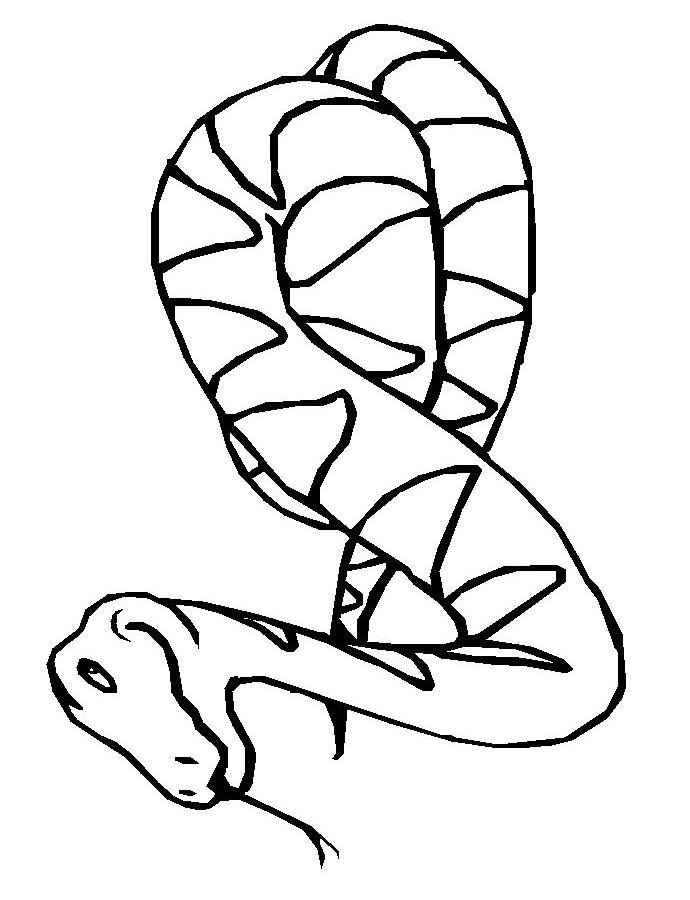 Dibujo de Serpiente para colorear y pintar #9255