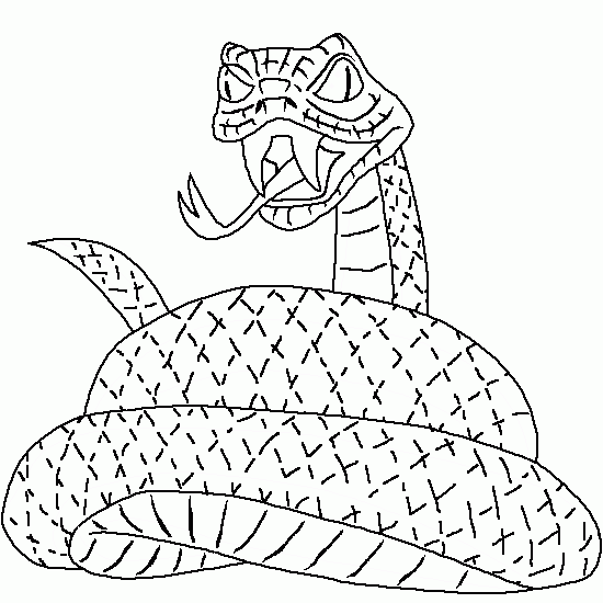 Dibujo de Serpiente para colorear y pintar #9265