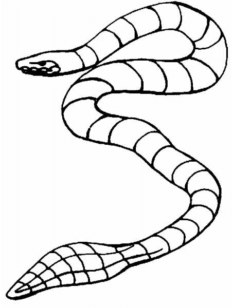 Dibujo de Serpiente para colorear y pintar #9269