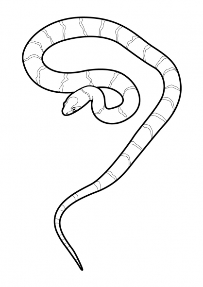 Dibujo de Serpiente para colorear y pintar #9278