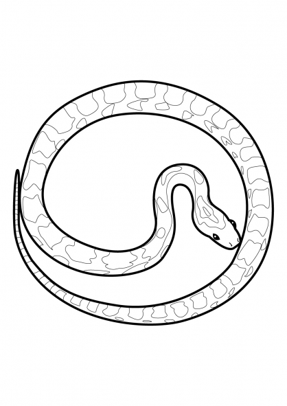 Dibujo de Serpiente para colorear y pintar #9292