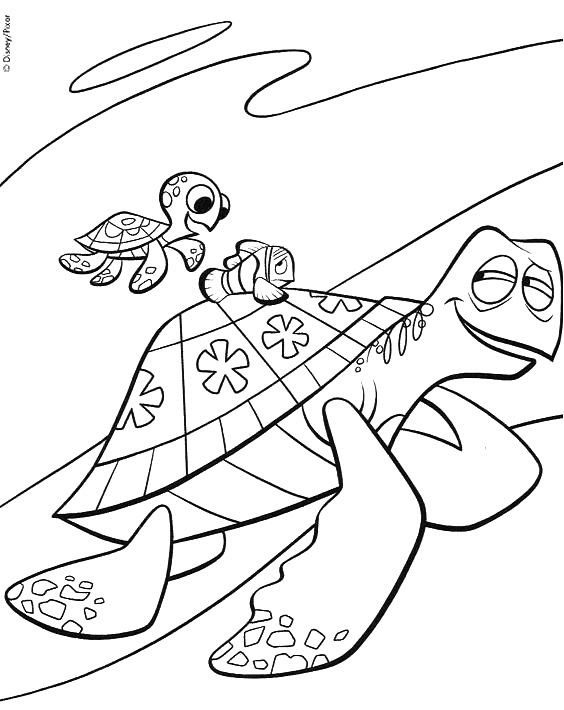 Dibujo de Tortuga para colorear y pintar #9644