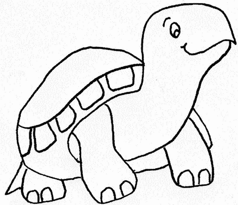 Dibujo de Tortuga para colorear y pintar #9664