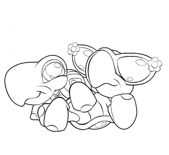Dibujo de Tortuga para colorear y pintar #9696