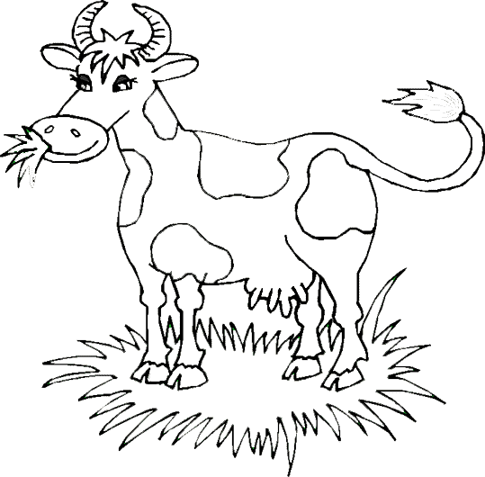 Dibujo de Vaca para colorear y pintar #9805