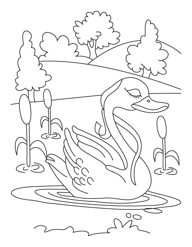 Dibujo de Lago para colorear y pintar #28020