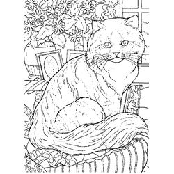 Dibujos de Anti estrés para colorear y pintar